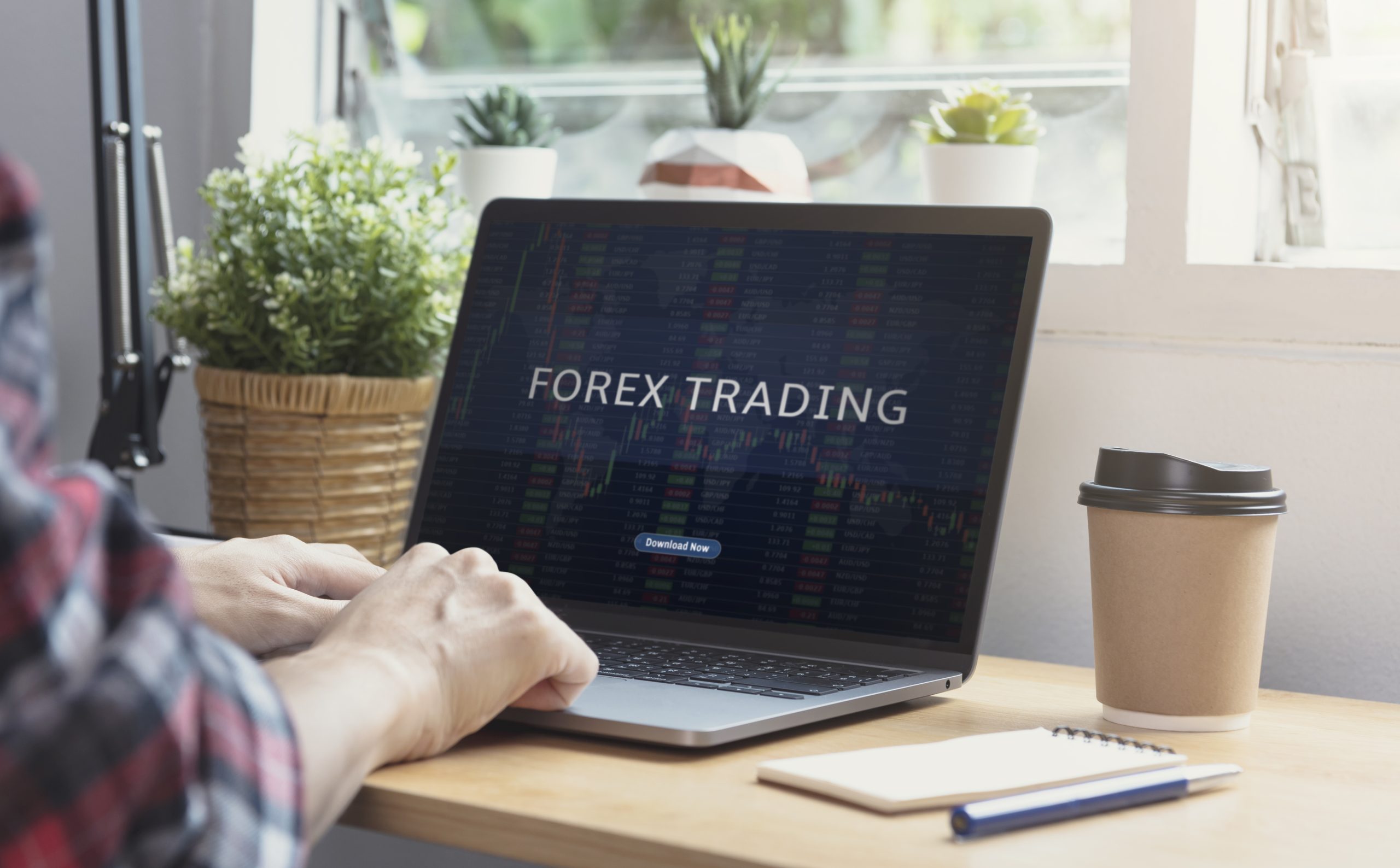 Steps To Start Forex Trading For Beginners » Milasona
